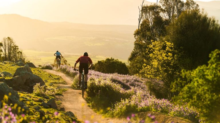 11 Fantastic Cycling Routes in Canberra - The Canberra Post