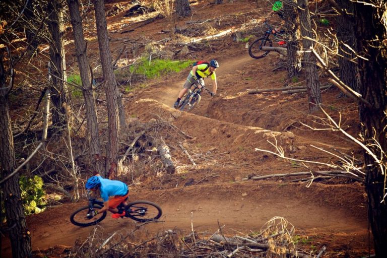 11 Fantastic Cycling Routes in Canberra - The Canberra Post